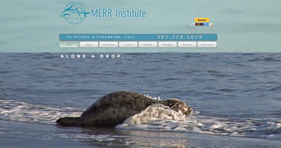 MERR Institute - 臺灣海洋教育中心