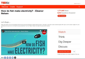 How do fish make electricity？ - 臺灣海洋教育中心
